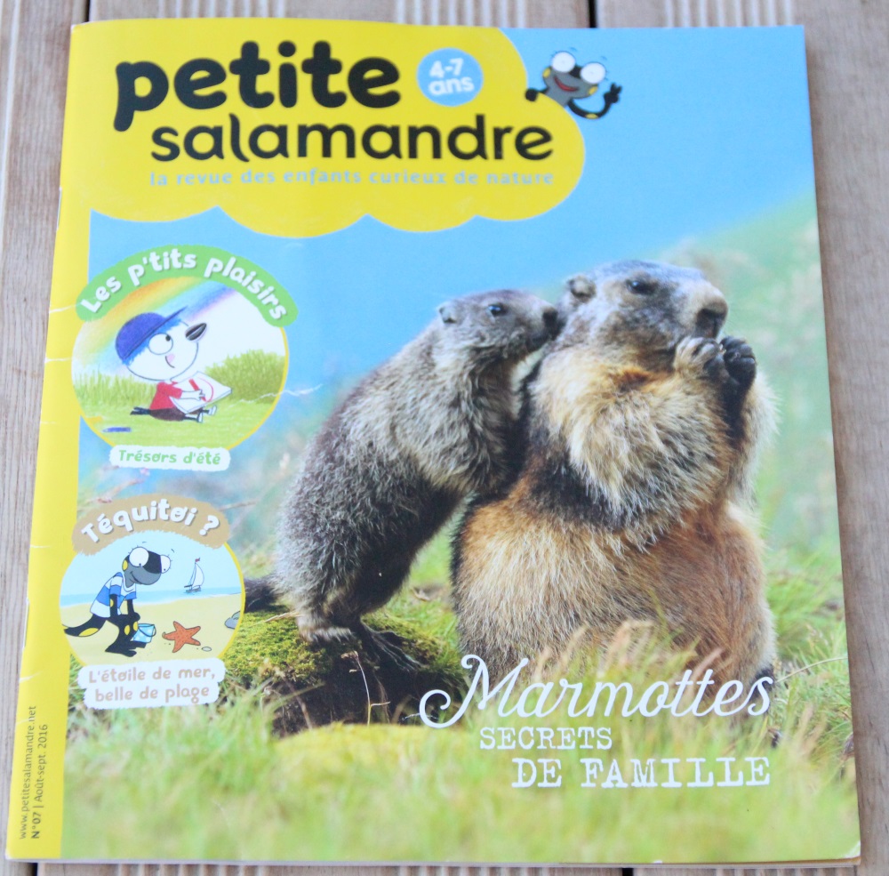Petite salamandre la revue des petits curieux de la nature - Payette Family