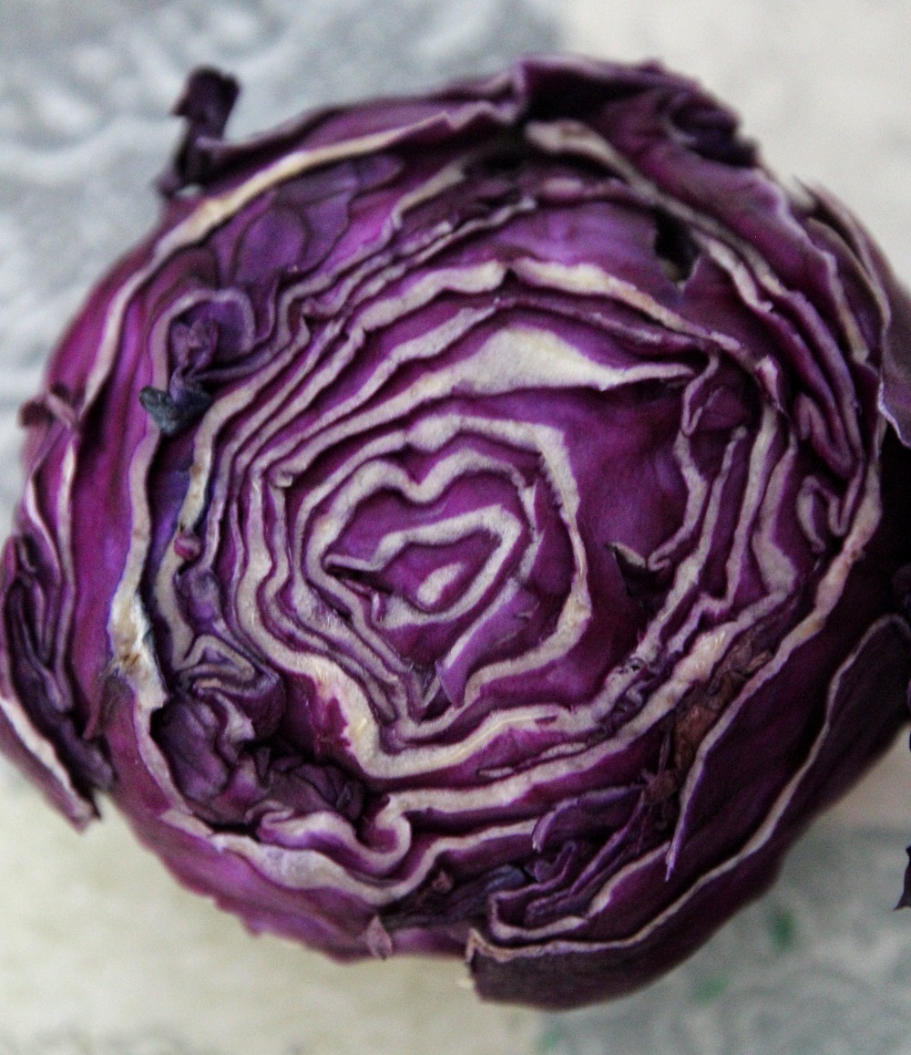 Peinture au chou rouge {Expérience} - Payette Family