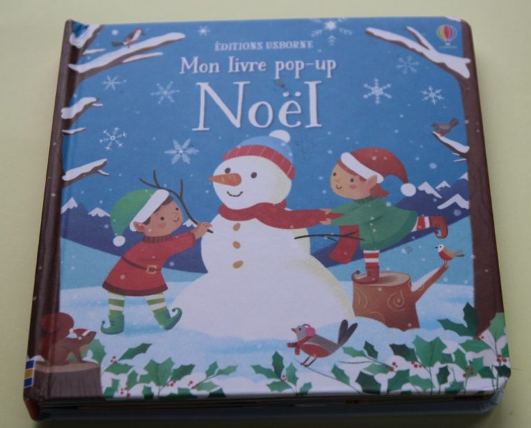 Nos livres de Noël coup de cœur - Payette Family