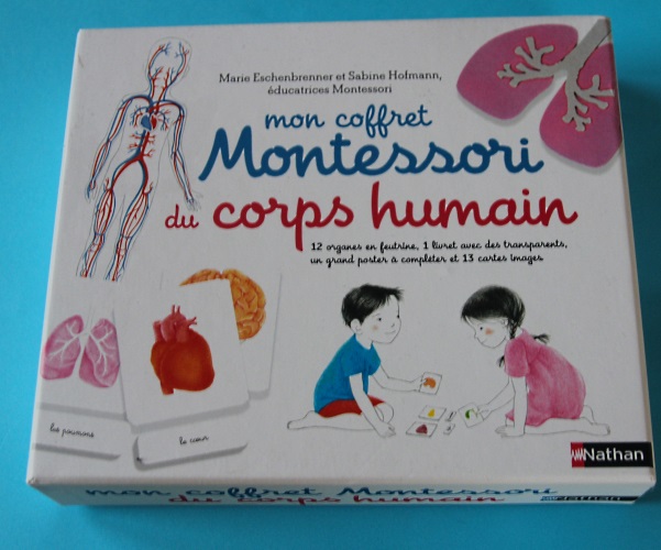 Coffret du corps humain Montessori - Nathan - Payette Family
